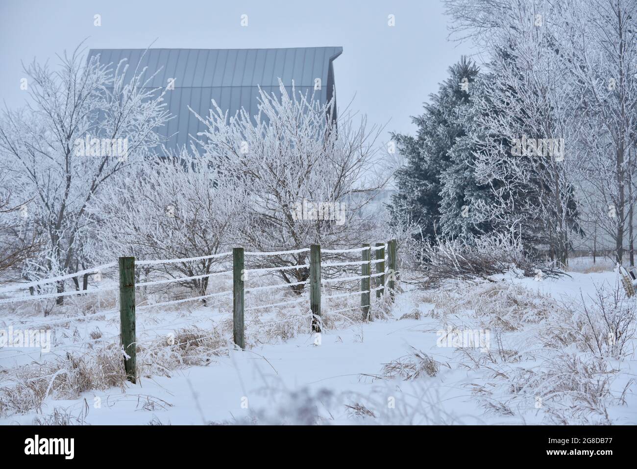 Hoarfrost ice crystals on farm hi-res stock photography and images - Alamy