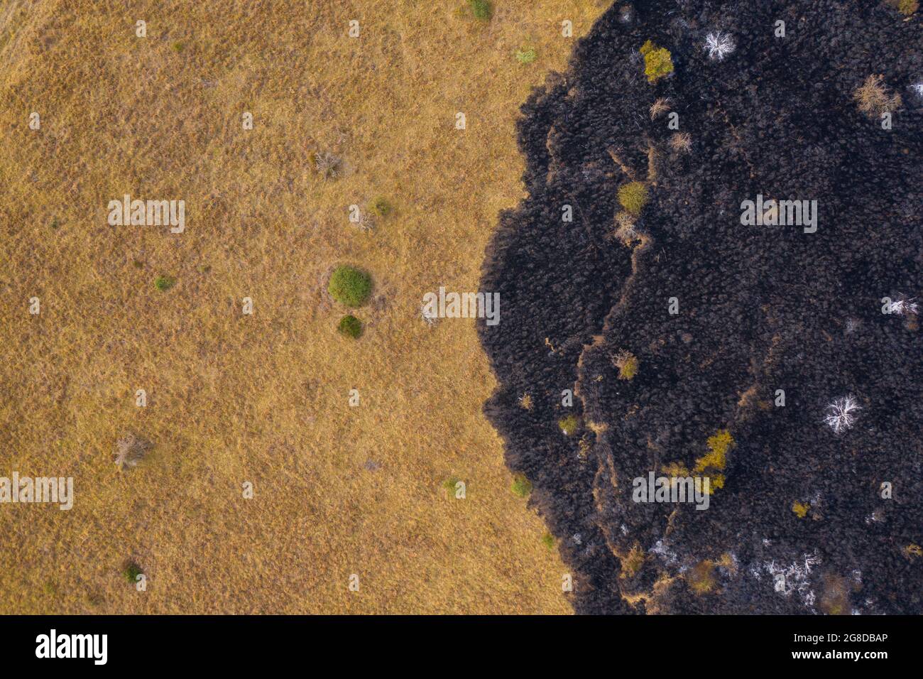 Global bushfire hi-res stock photography and images - Alamy