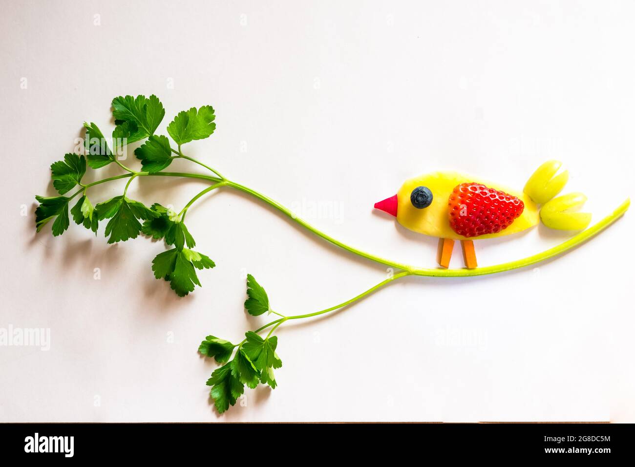 bird made from mango, strawberry, grape, blueberry and parsley herb ...