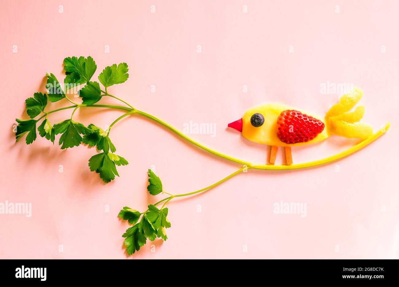 bird made from mango, strawberry, grape, blueberry and parsley herb ...