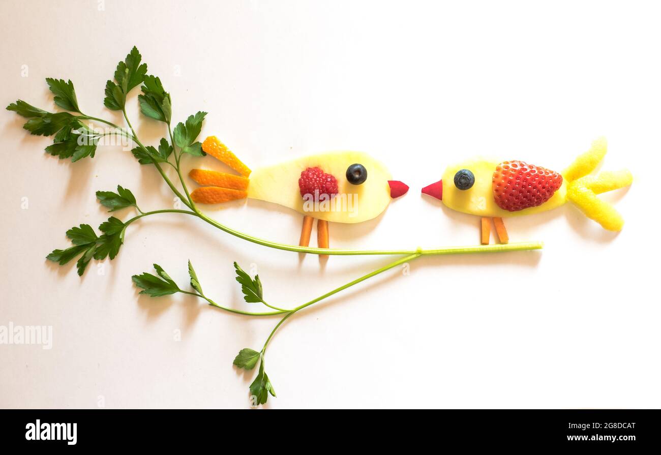 two birds made from mango, strawberry, grape, blueberry and parsley ...