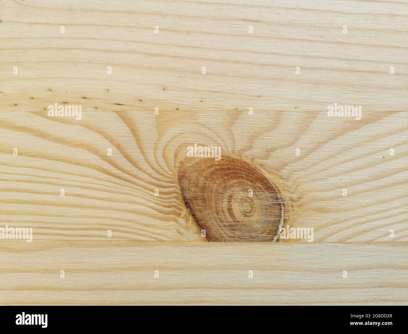 Light texture of spruce wood with lines and swirls Stock Photo - Alamy