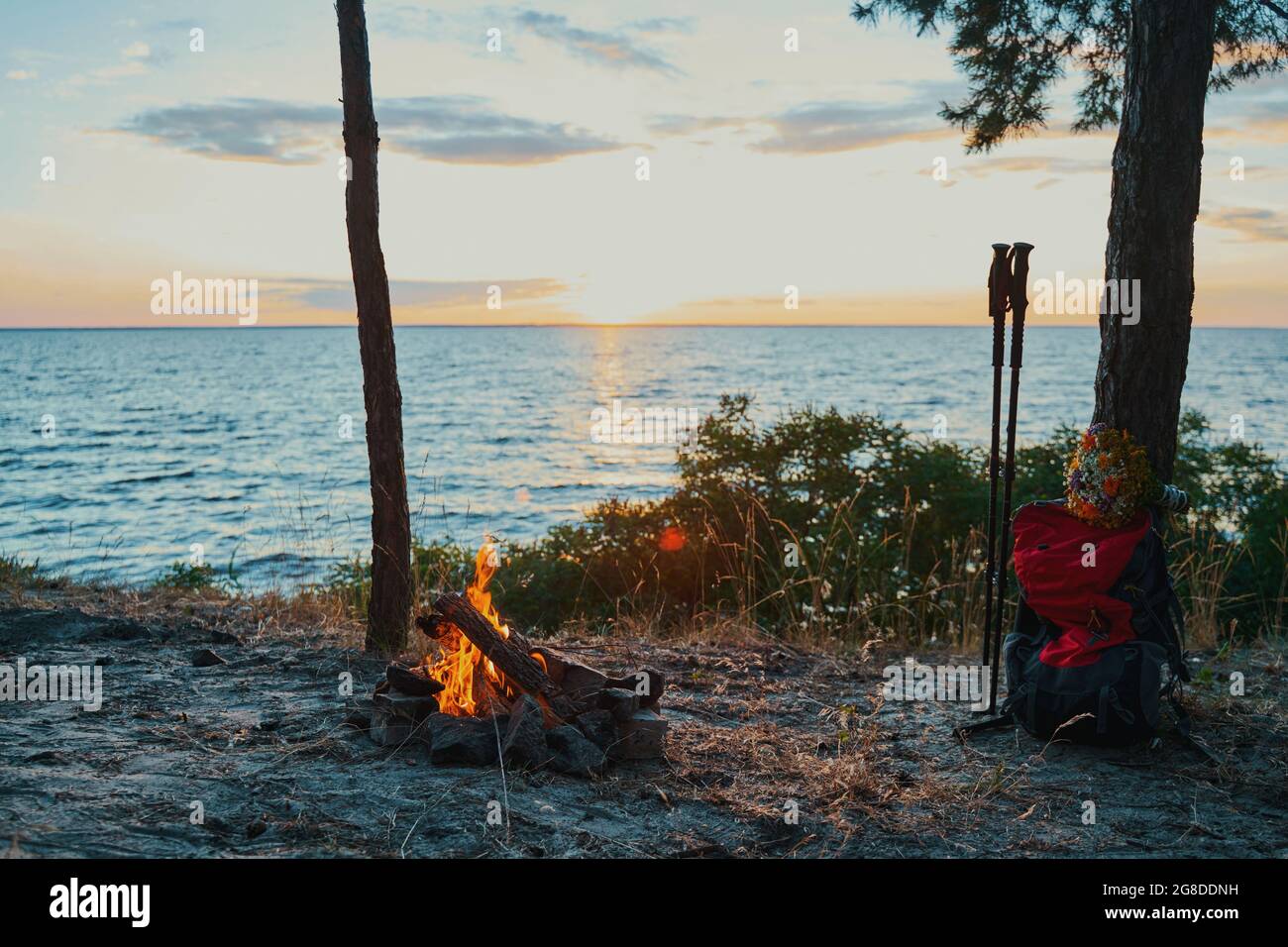Campfire burning in a forest clearing near lake Stock Photo - Alamy