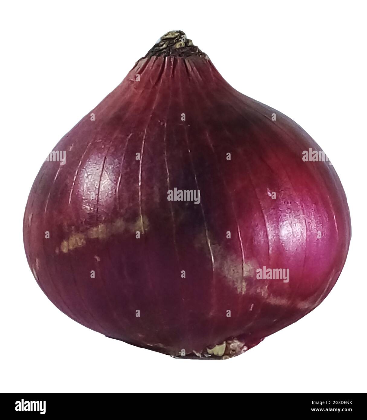 Onion isolated on a white background Stock Photo - Alamy
