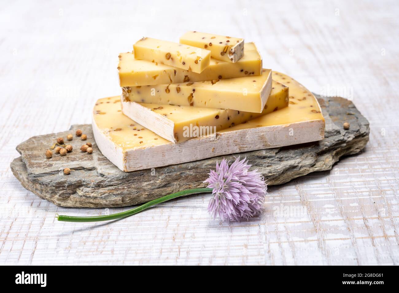 Cheese collection, matured yellow cow cheese with mustard seeds from ...