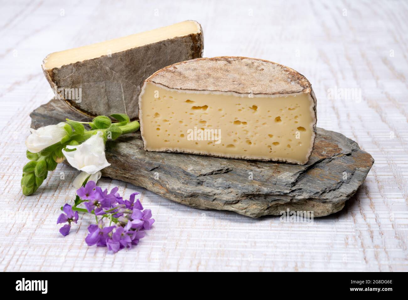 Cheese collection, matured cow cheese with mold tommette de savoie from ...