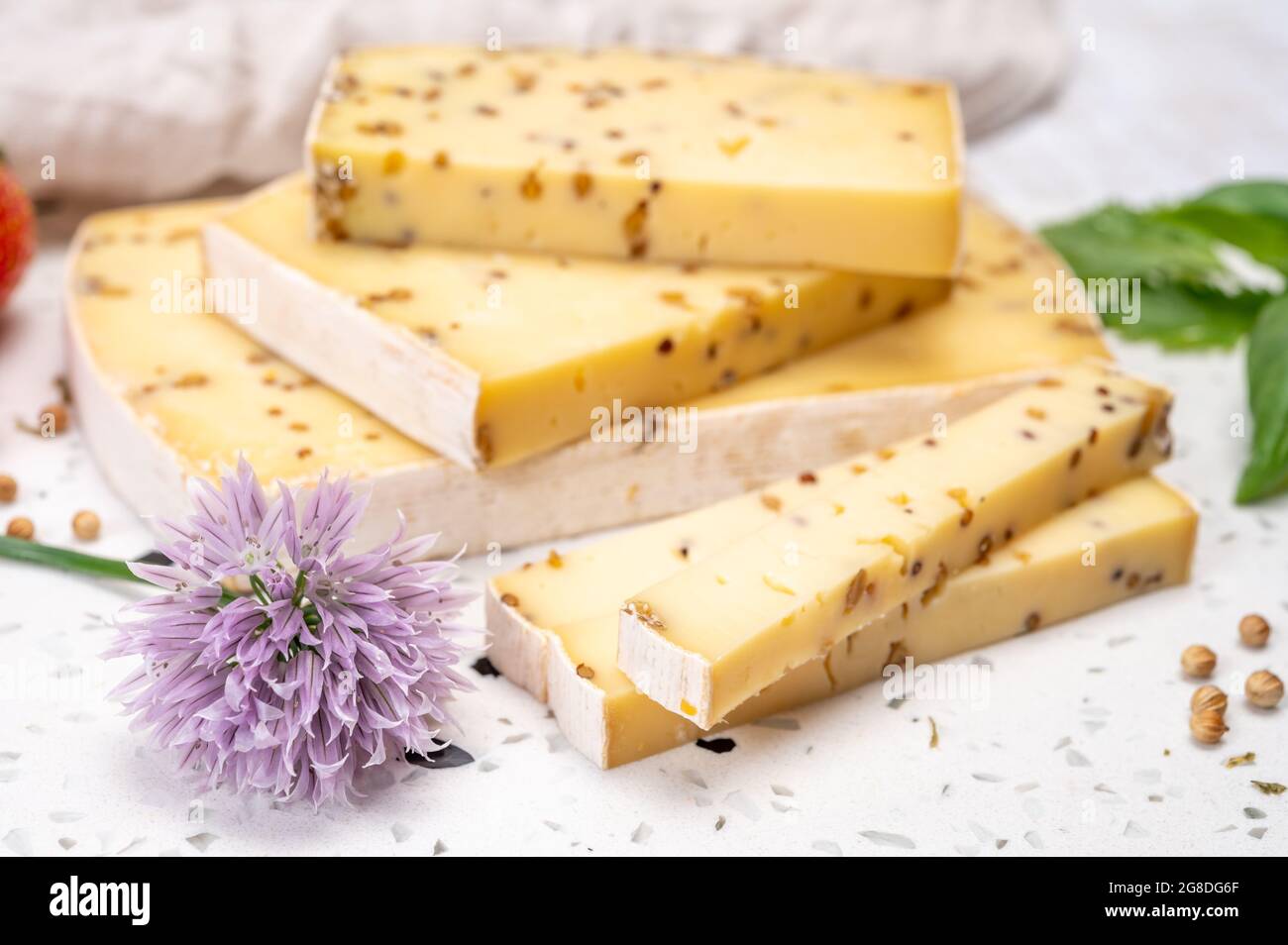 Cheese collection, matured yellow cow cheese with mustard seeds from ...
