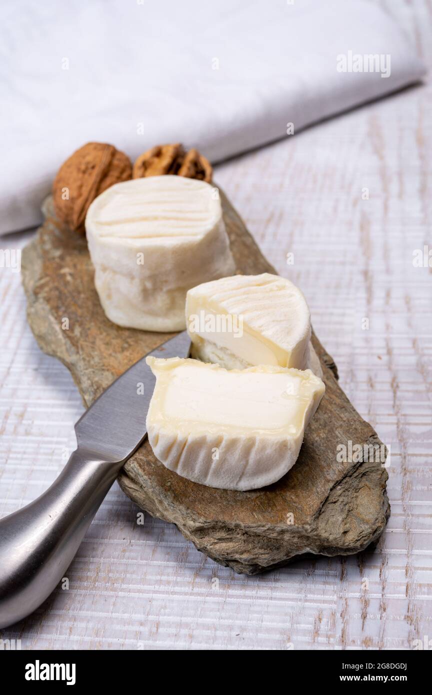 Cheese collection, soft goat French cheese with mold crottin de ...