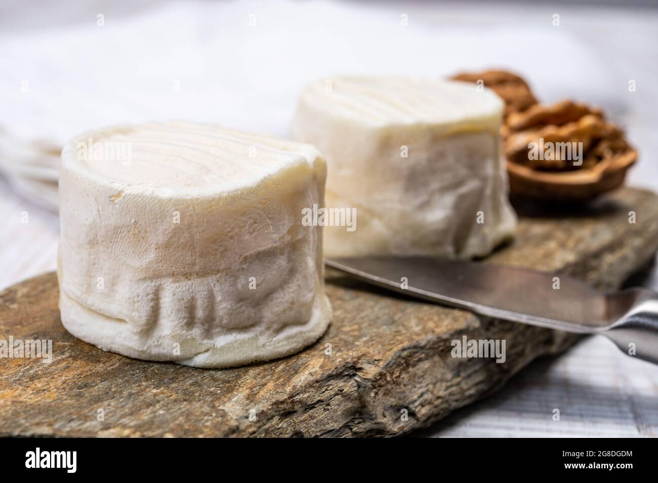 Cheese collection, soft goat French cheese with mold crottin de ...