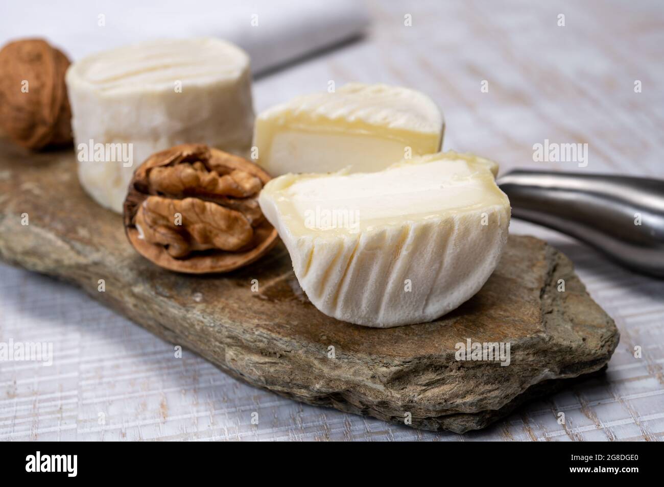 Cheese collection, soft goat French cheese with mold crottin de ...