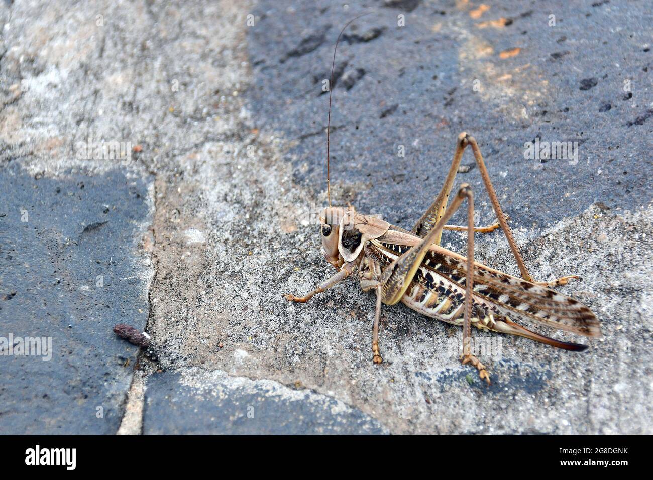 Lat 32 63923200 hi-res stock photography and images - Alamy