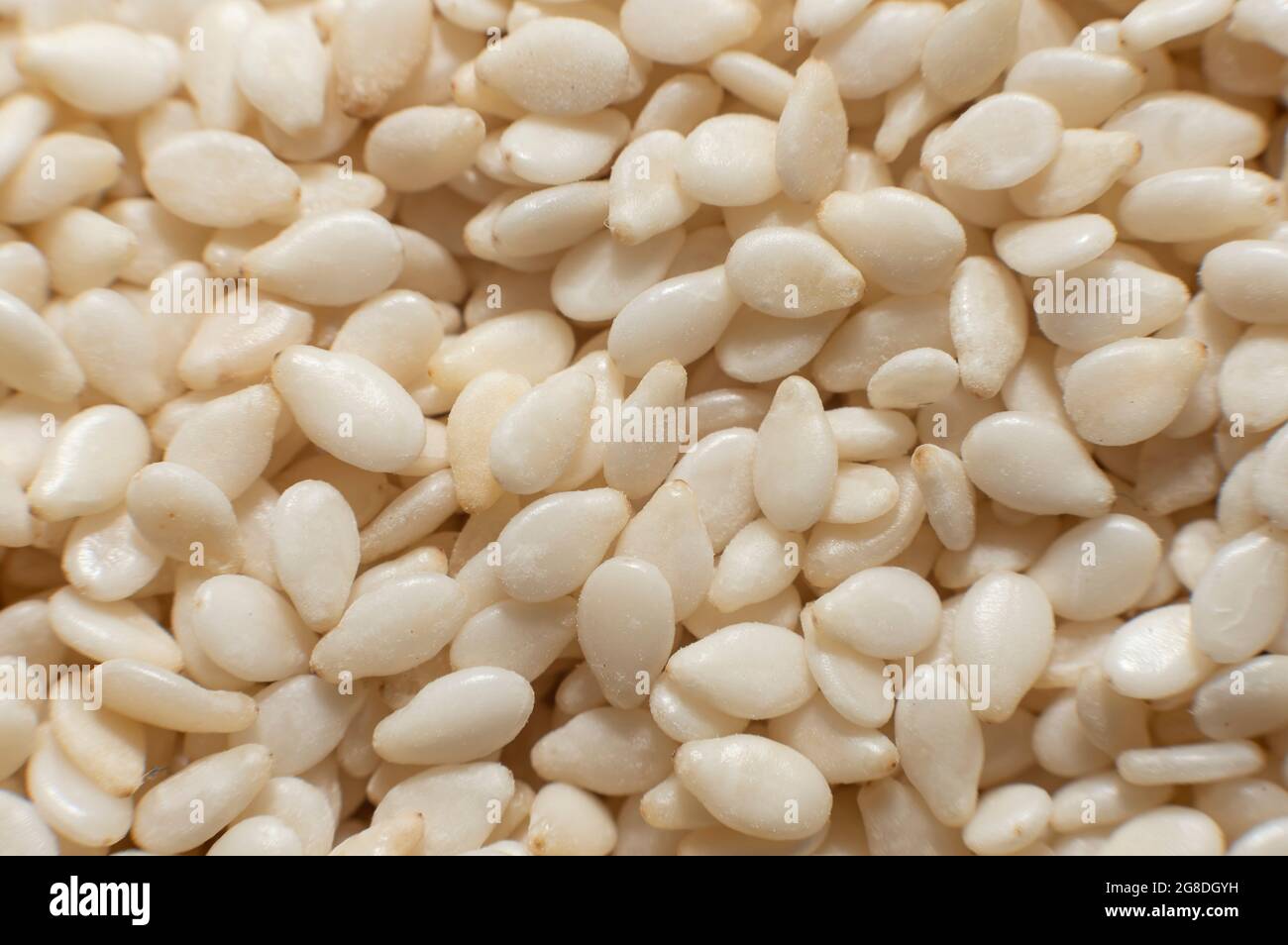 Sesame. Background from sesame seeds close up. Seeds Stock Photo - Alamy