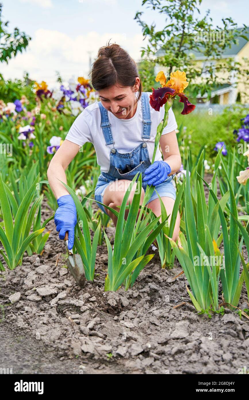 Woman digging in garden and nourishing plants with water and fertilizer ...