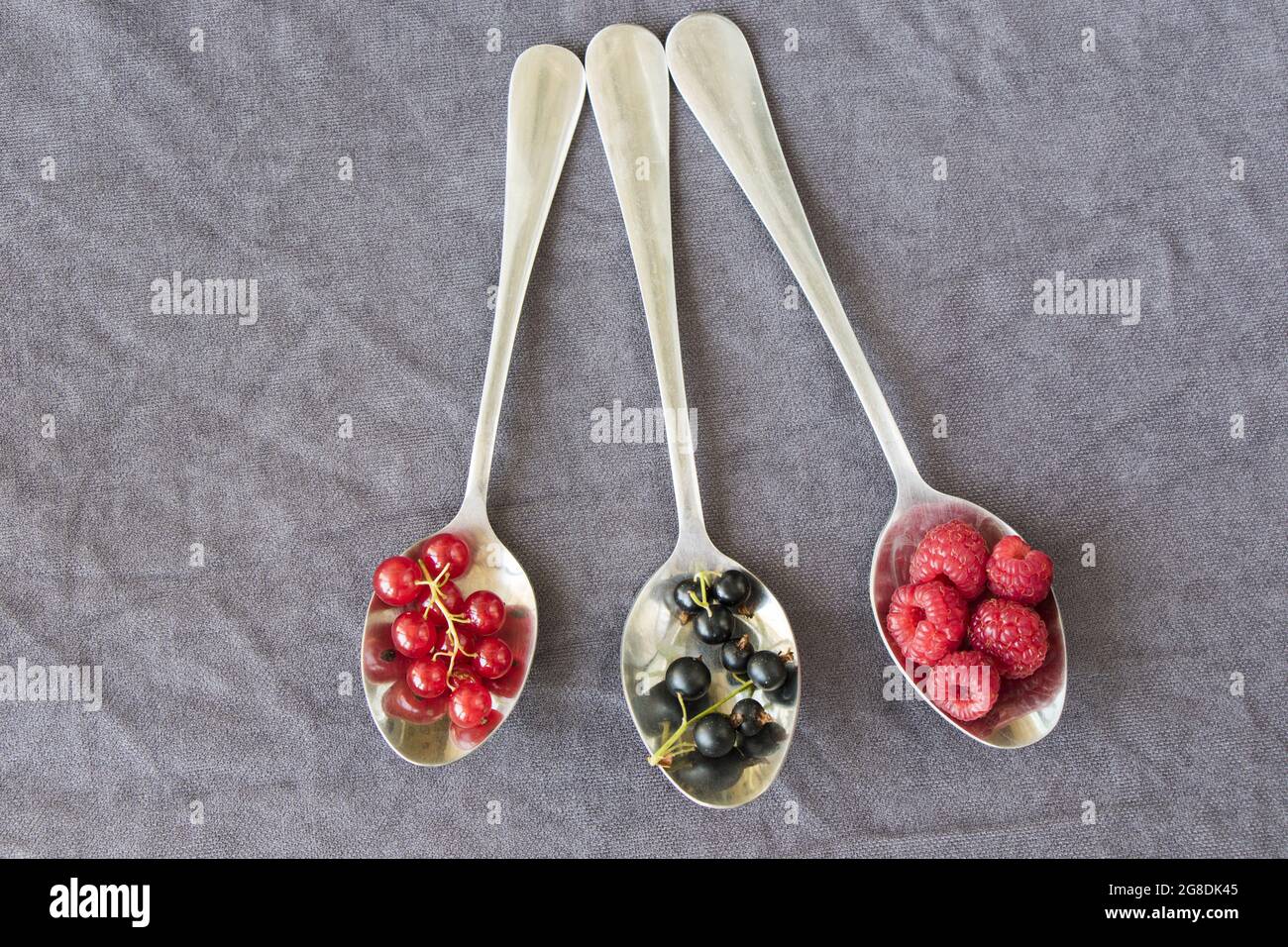 Top view of red and black currants and raspberries on iron spoons on a ...