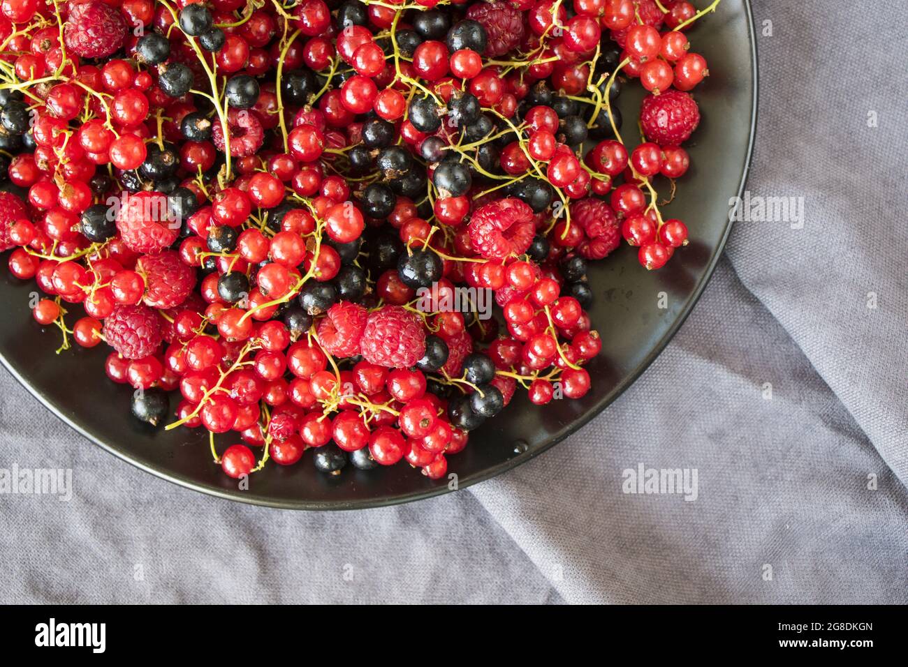 Bowl full of red and black currants and raspberries on a gray cloth ...