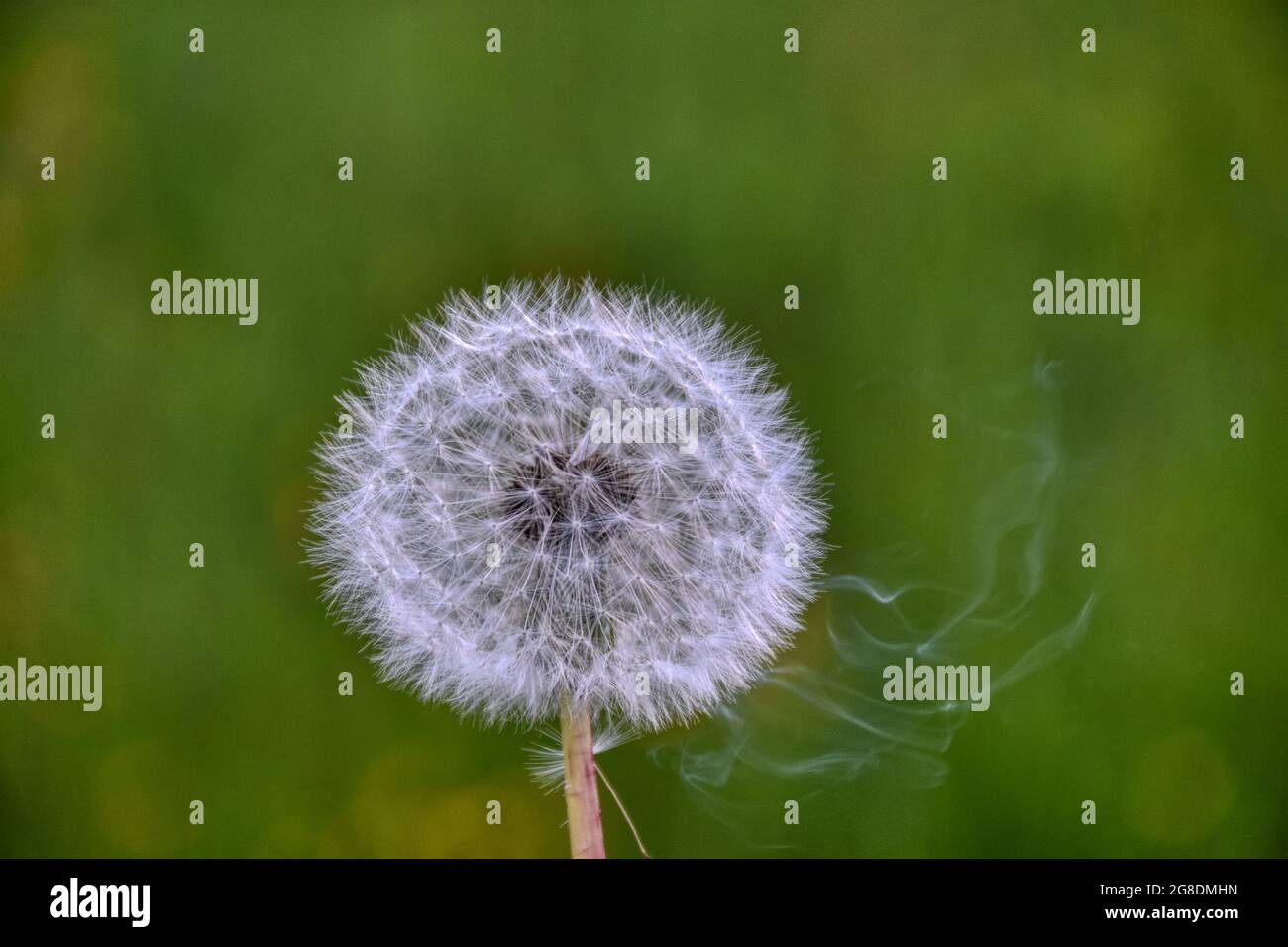 Wind effekt hi-res stock photography and images - Alamy