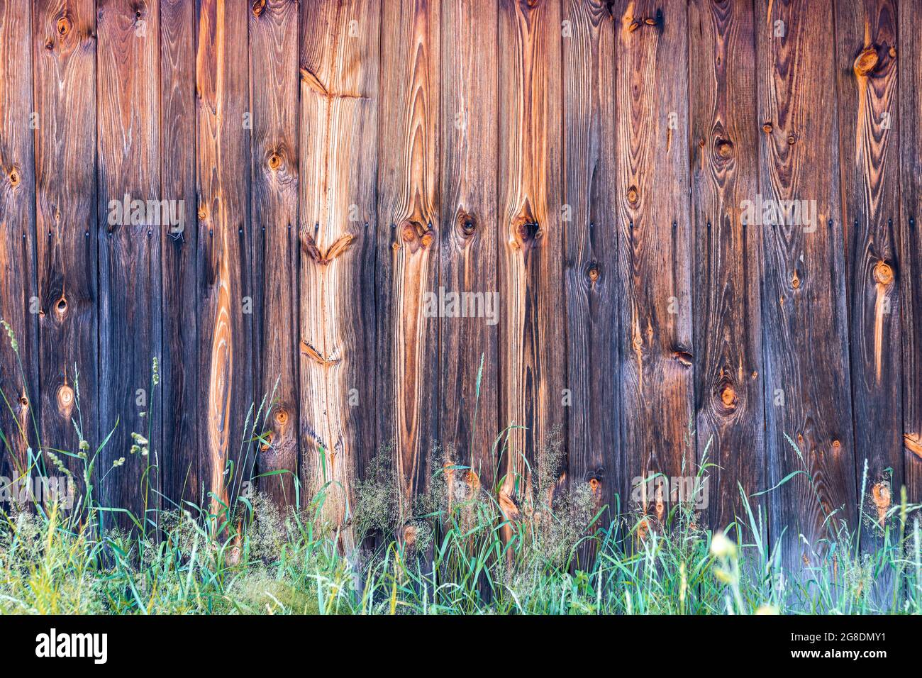 Old, weathered, beautiful, wooden planks. Green, fresh grass in the ...
