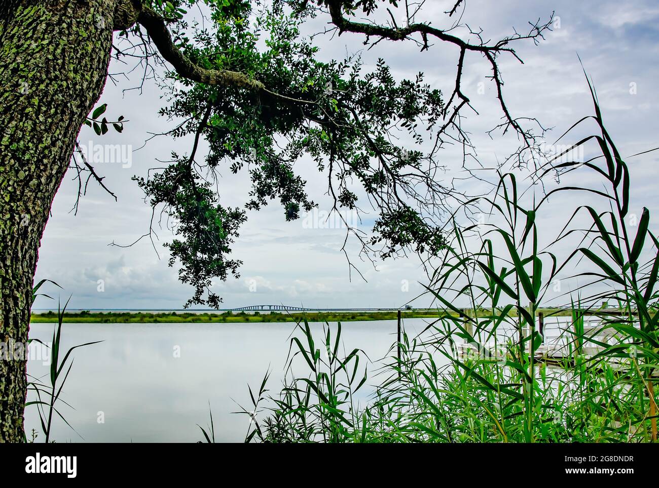 The Dauphin Island Bridge, formerly the Gordon Persons Bridge, is ...