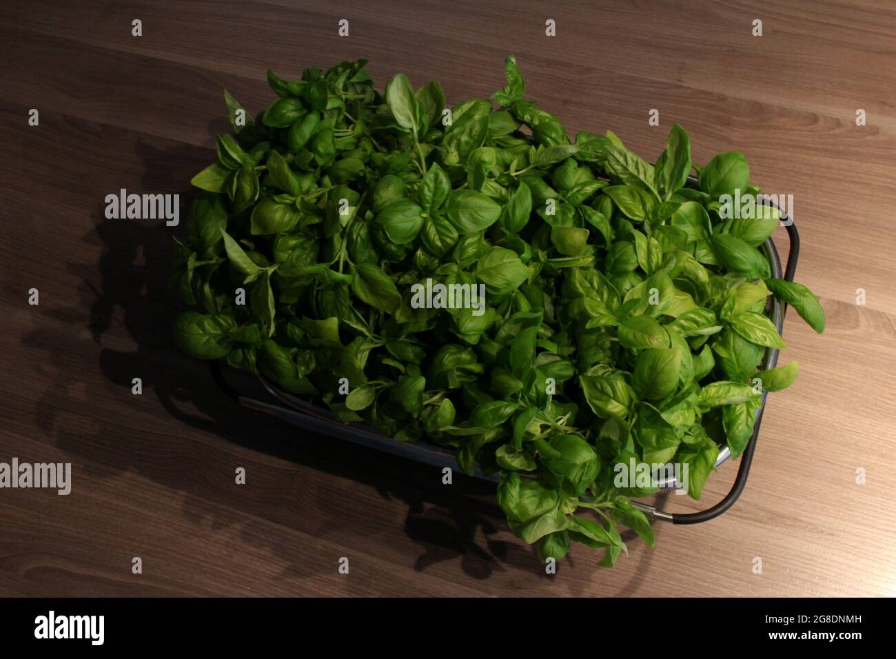 Basket full of basil Stock Photo - Alamy