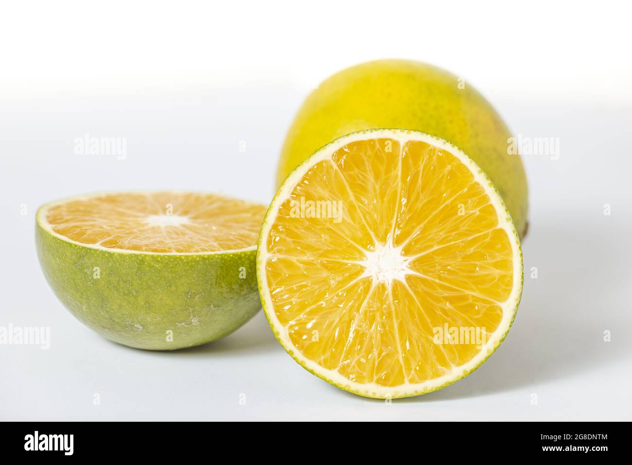 Closeup of juicy fresh oranges with thin green skins on an isolated ...