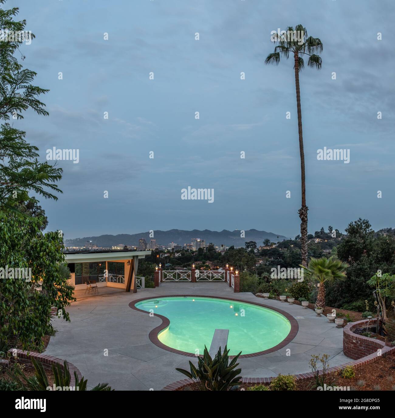 Lone palm tree stands tall above the swimming pool deck as the tropical ...