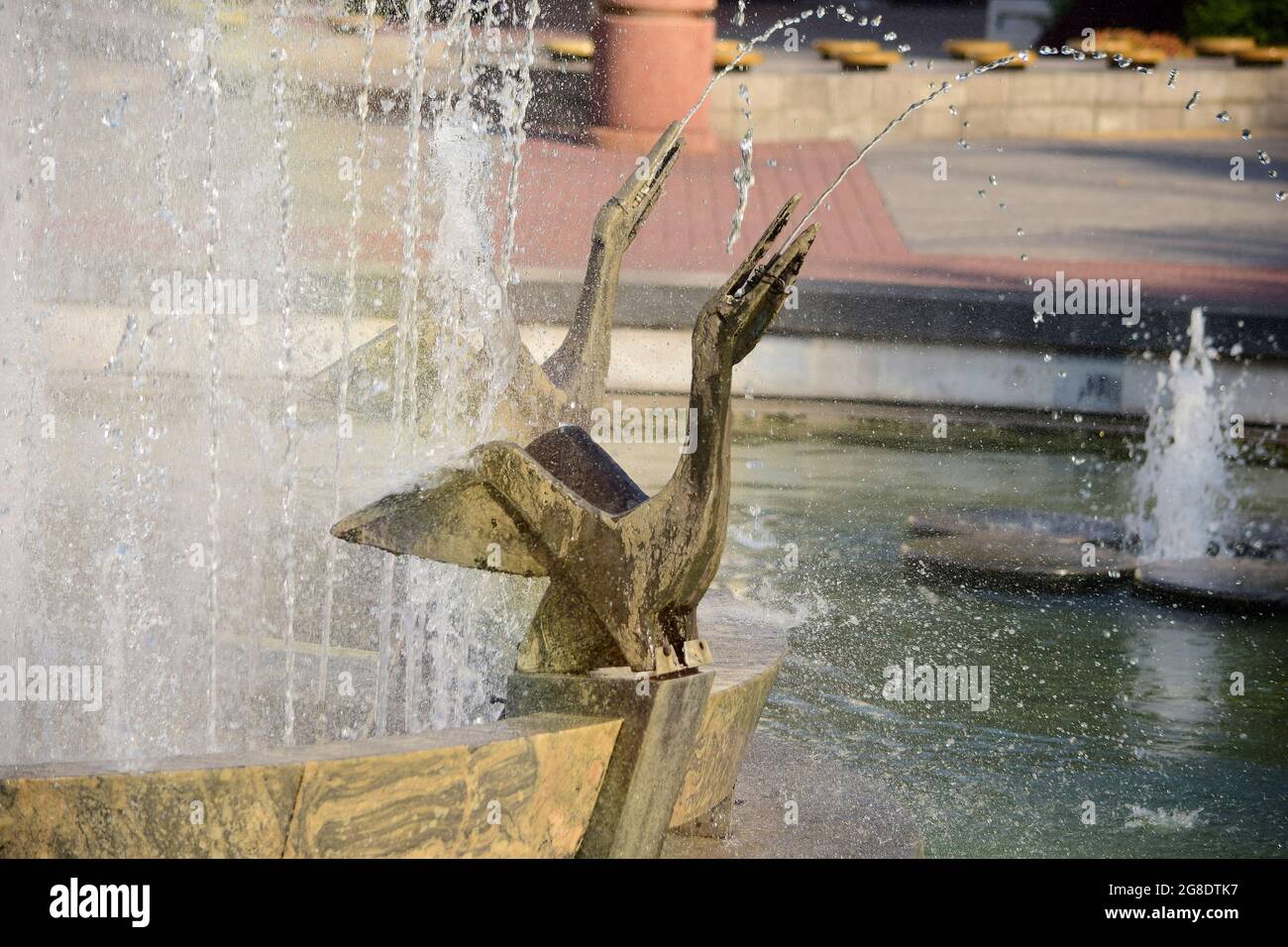 Statue of a pelican hi-res stock photography and images - Alamy