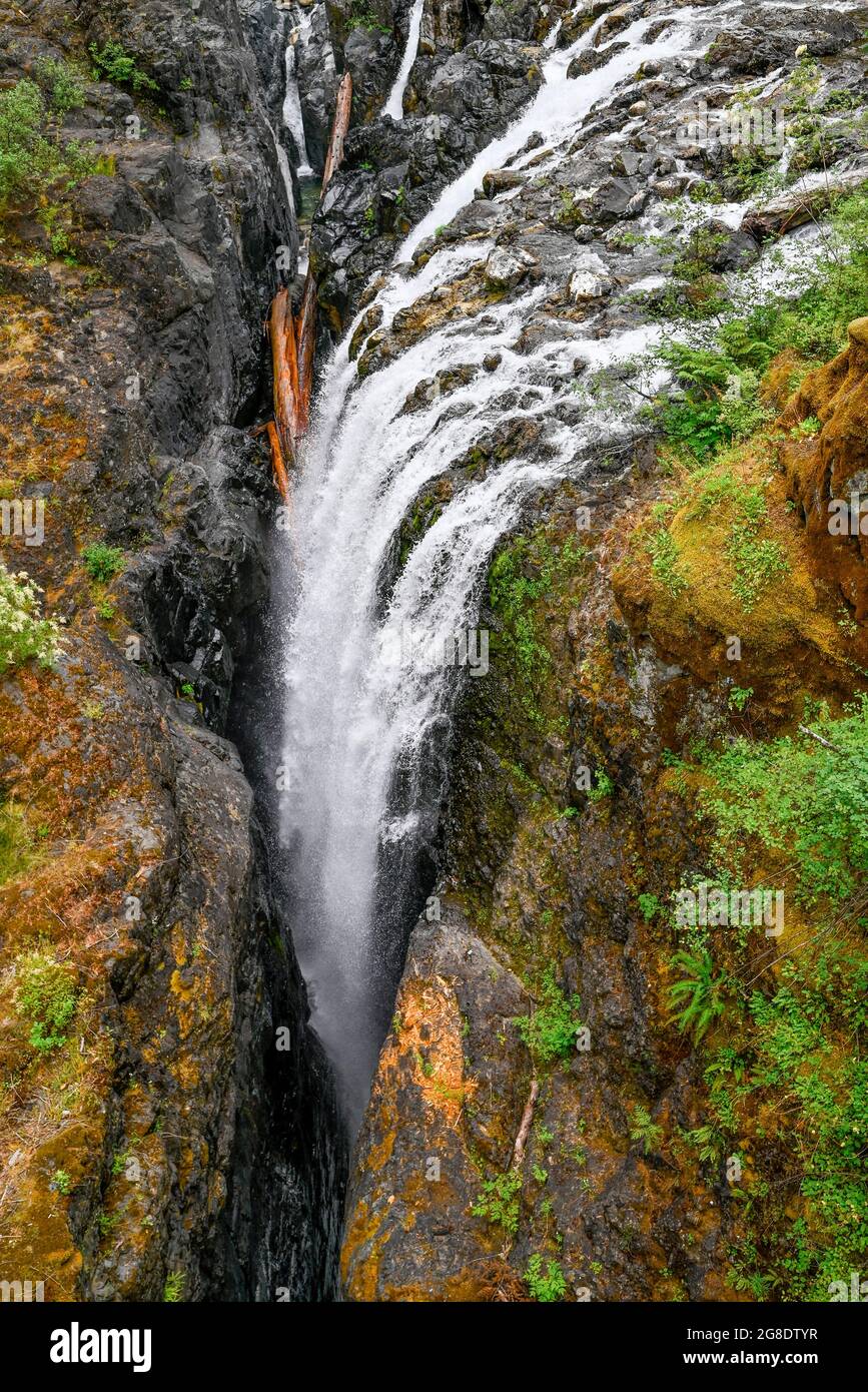 Waterfall, Englishman River Falls Provincial Park, Vancouver Island ...