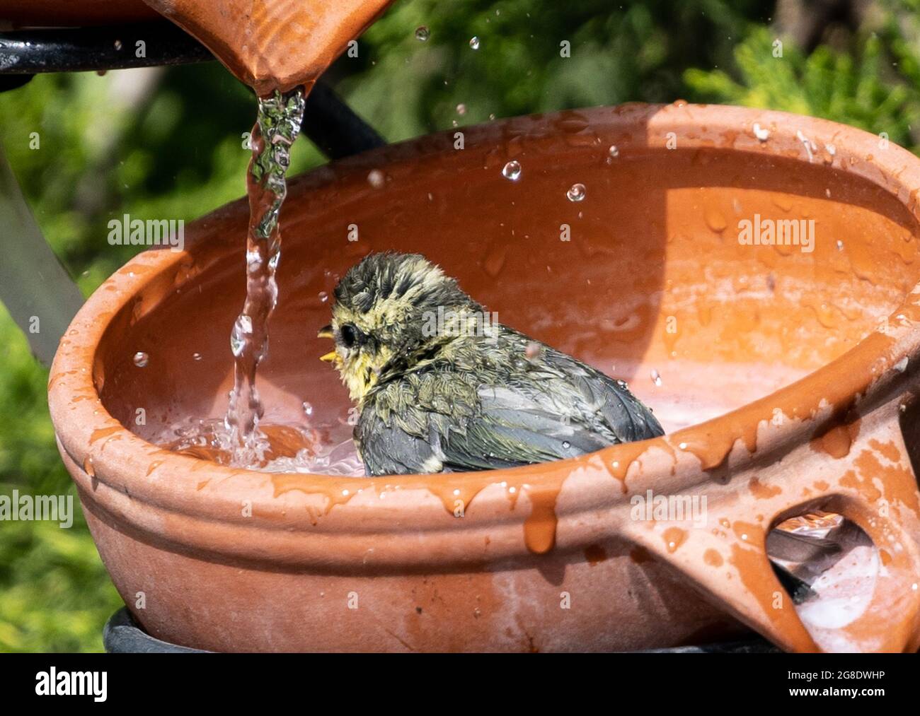 Closeup shot clay water hi-res stock photography and images - Alamy