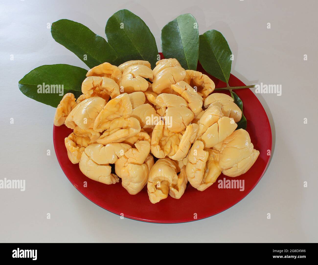 Freshly picked Jamaican Ackee arranged with ackee leaf Stock Photo - Alamy