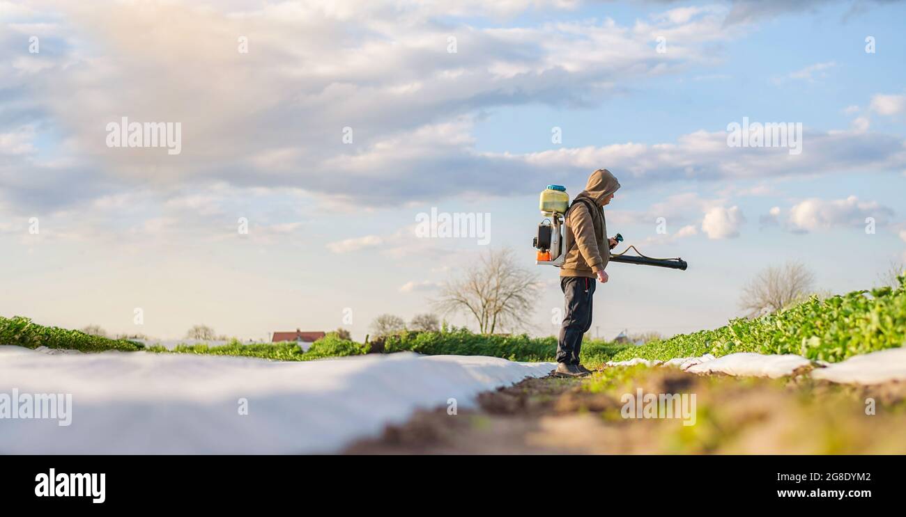 A worker with a sprayer works in the field. Use of chemicals for ...