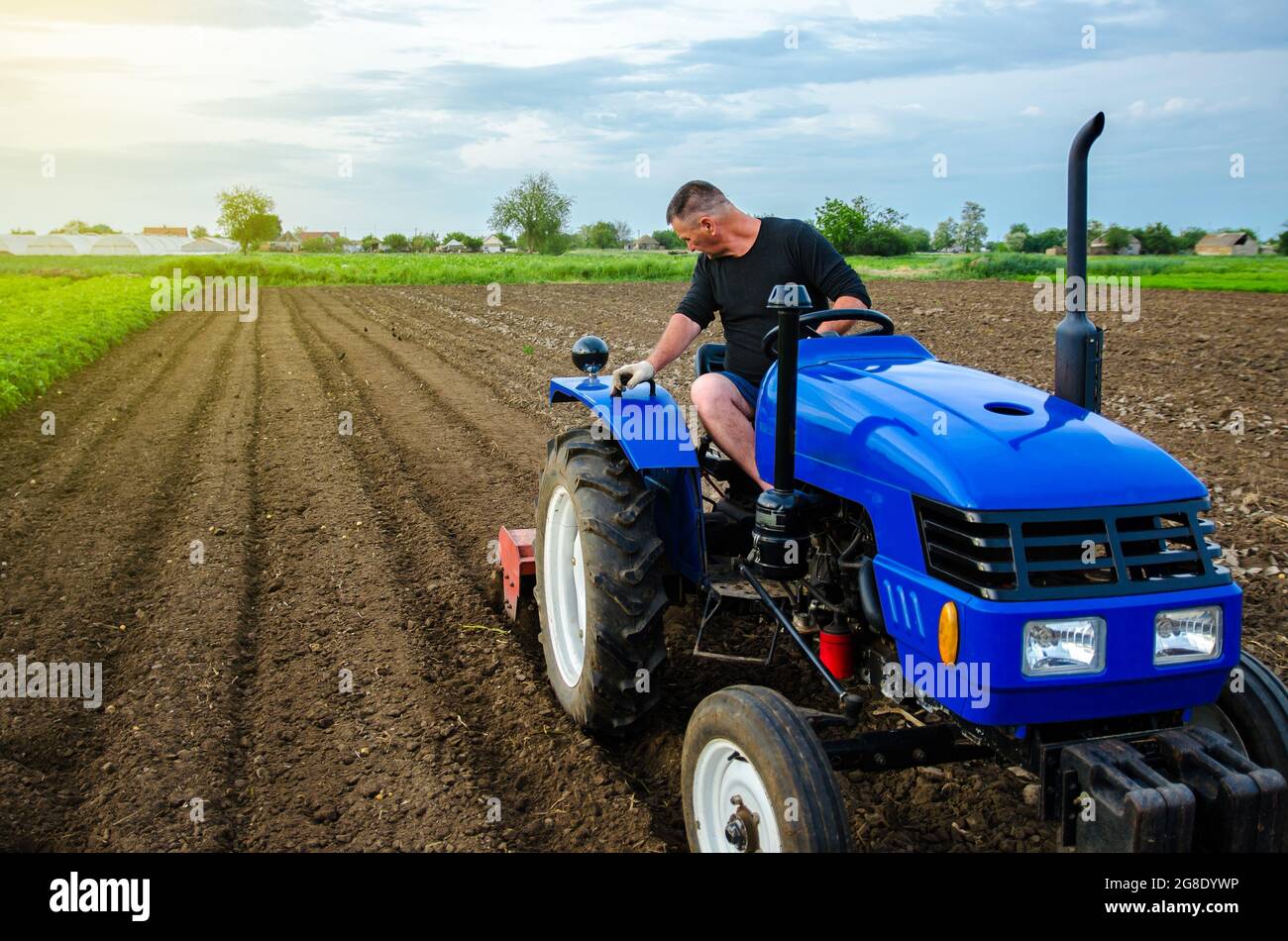 A farmer is cultivating a farm field. Preparatory earthworks before ...