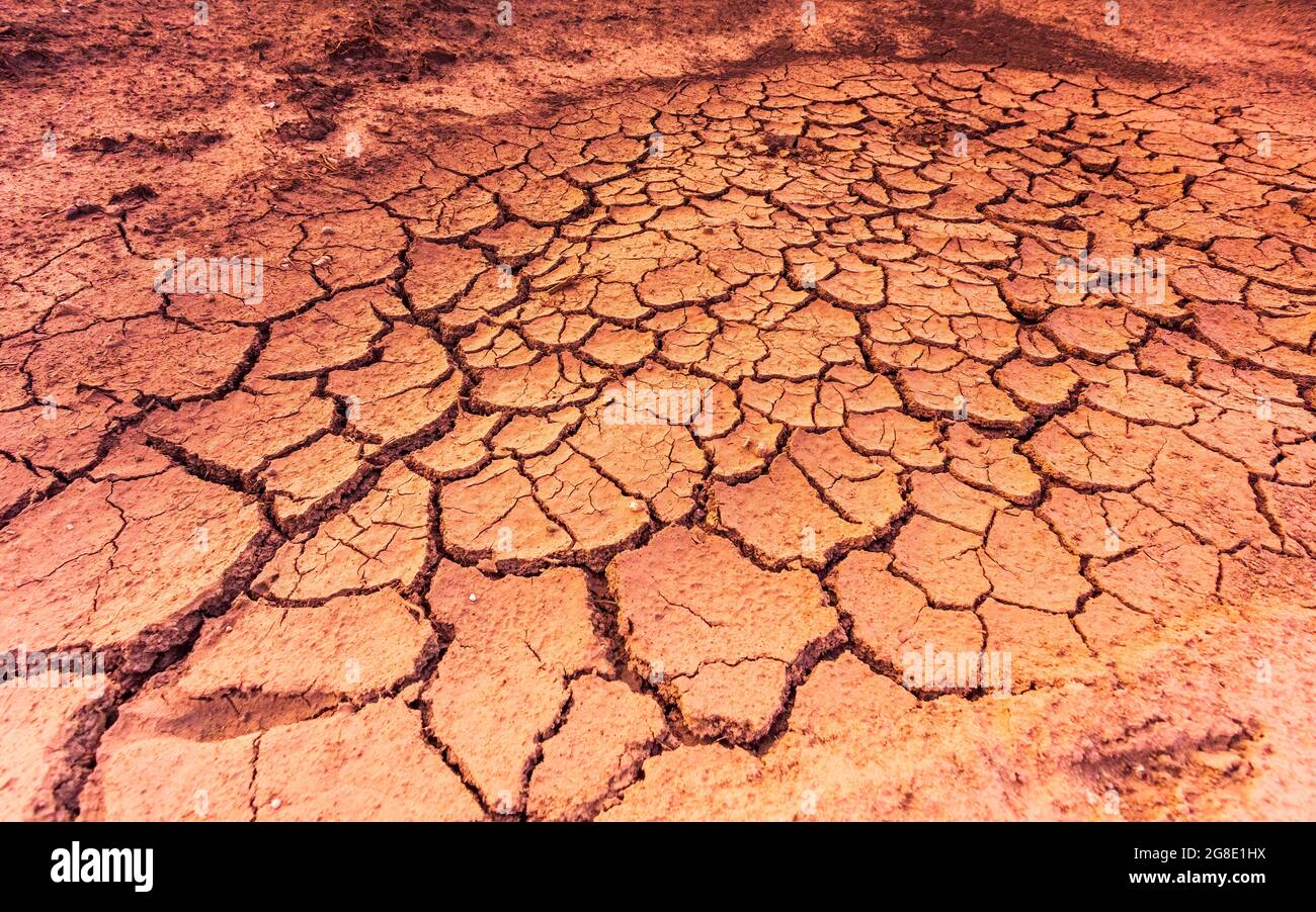 Warm dry cracked land with dead cropps, climate change concept with ...