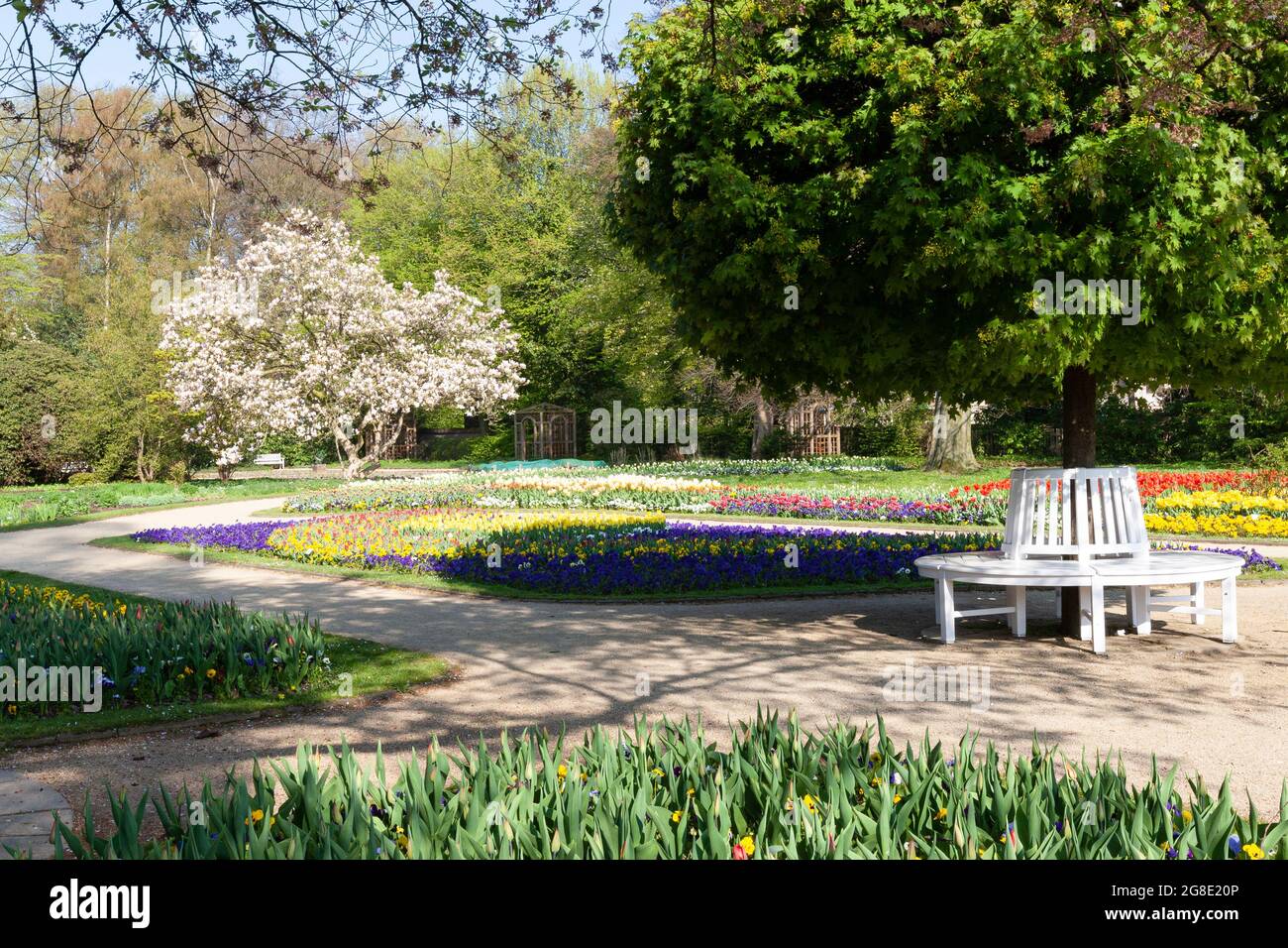 Flowerbeds and curved paths meet a white round bench around the trunk ...