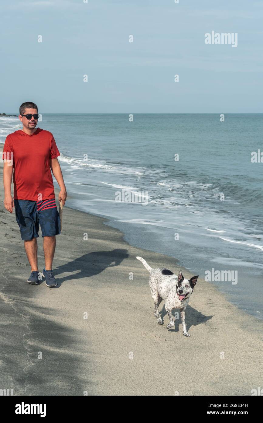 Clothes for a dog hi-res stock photography and images - Alamy