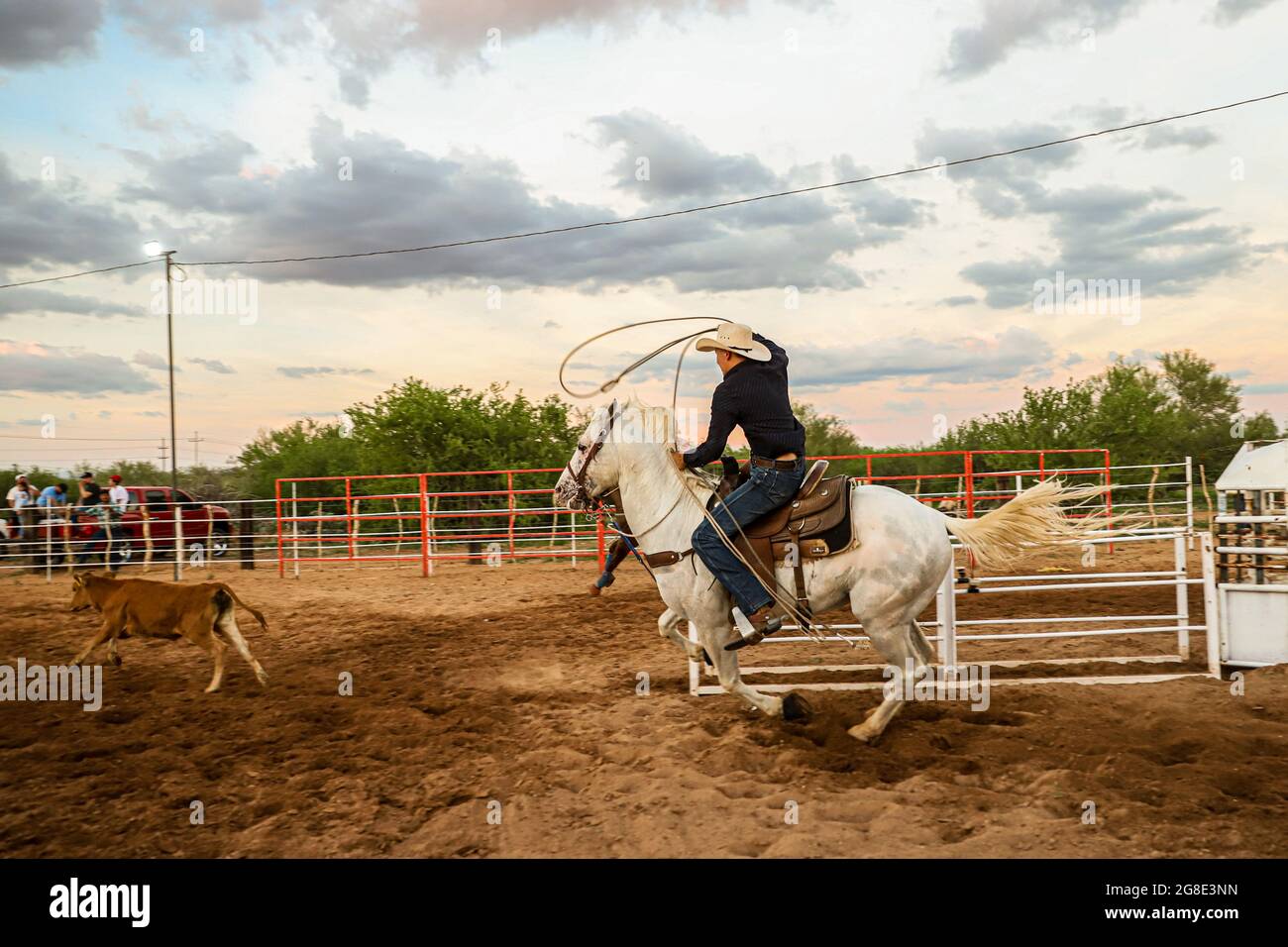 Rodeo y caballo hi-res stock photography and images - Alamy
