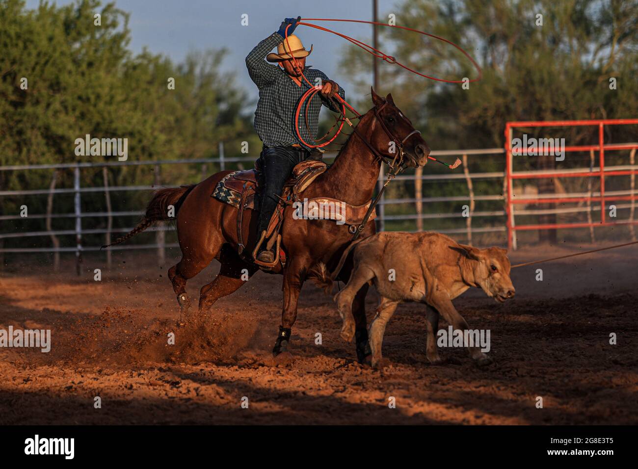 Lazo de vaquero hi-res stock photography and images - Alamy
