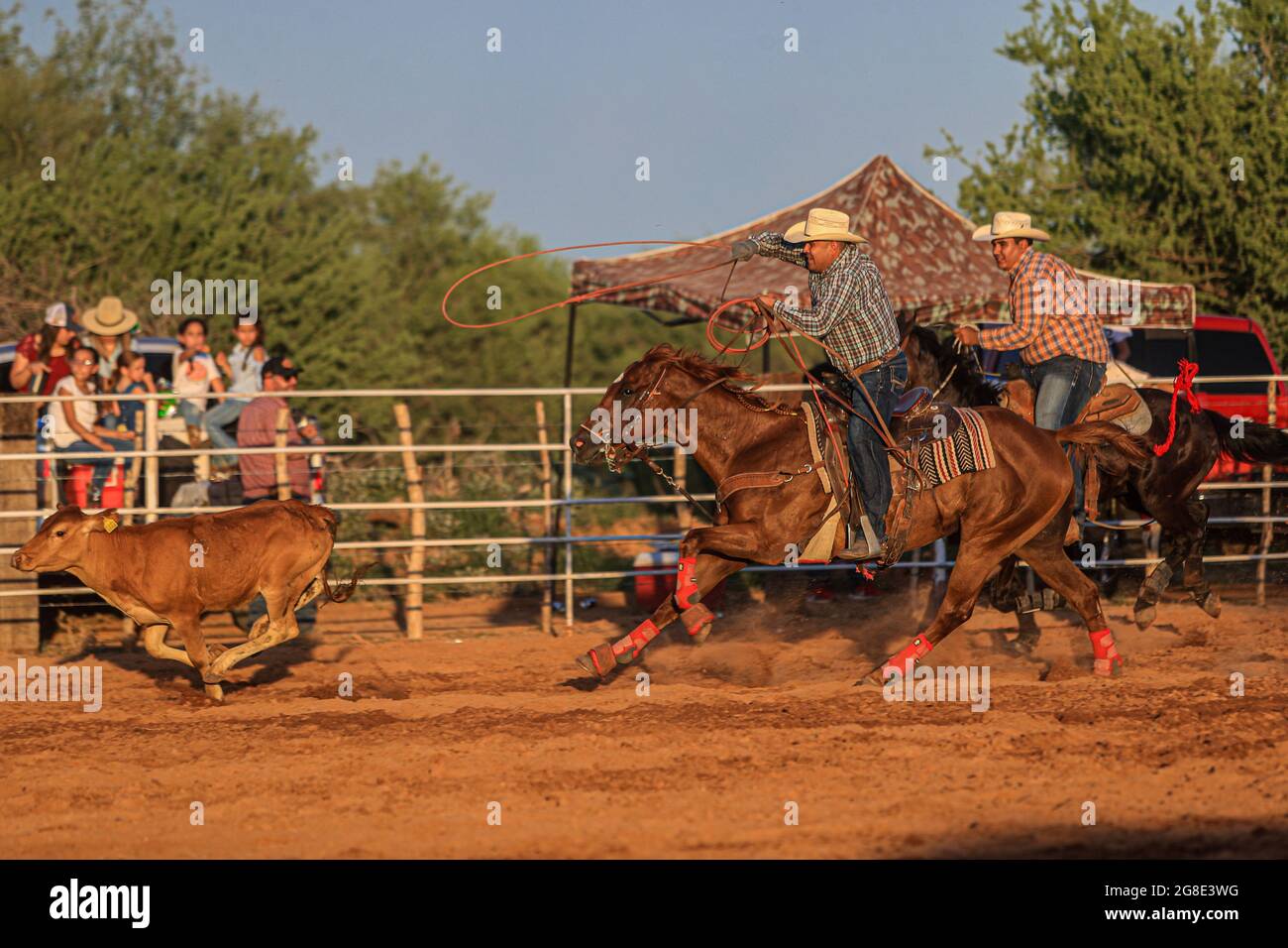 El caballo y el jinete hi-res stock photography and images - Alamy