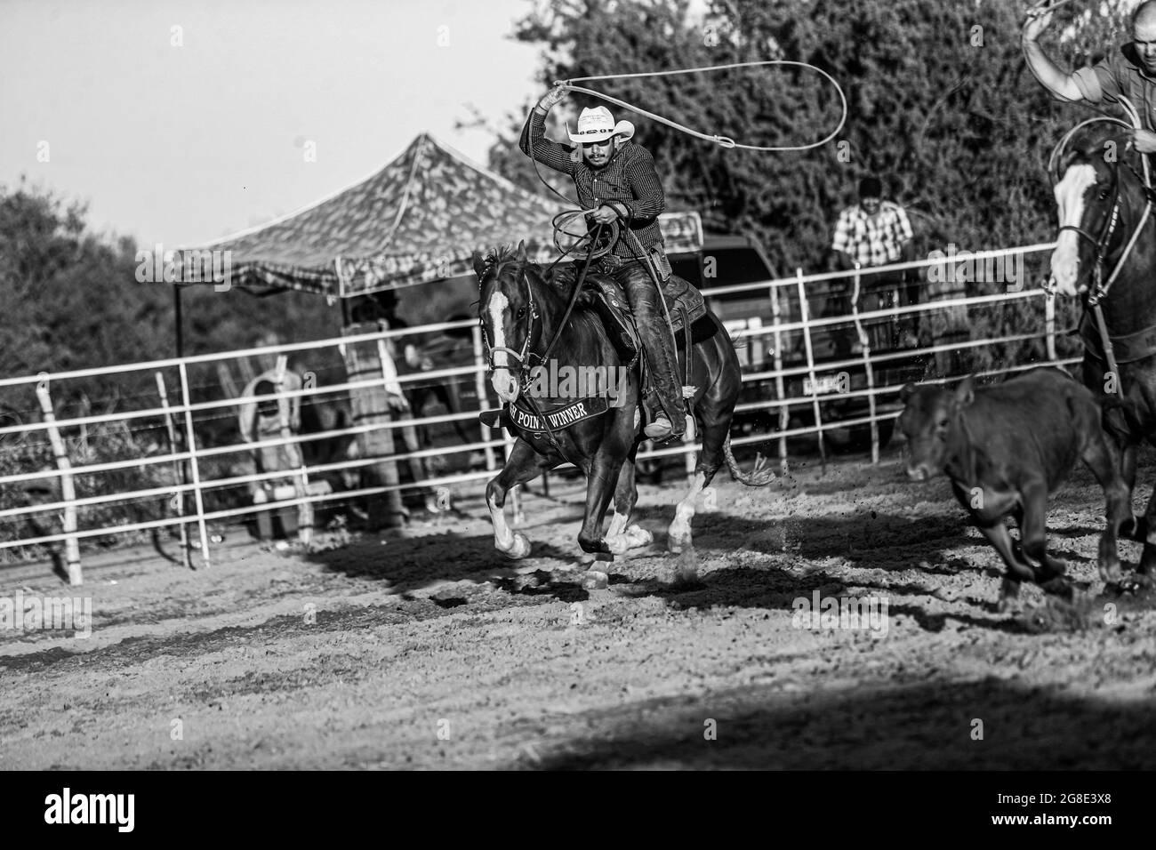 Reata Black and White Stock Photos & Images - Alamy