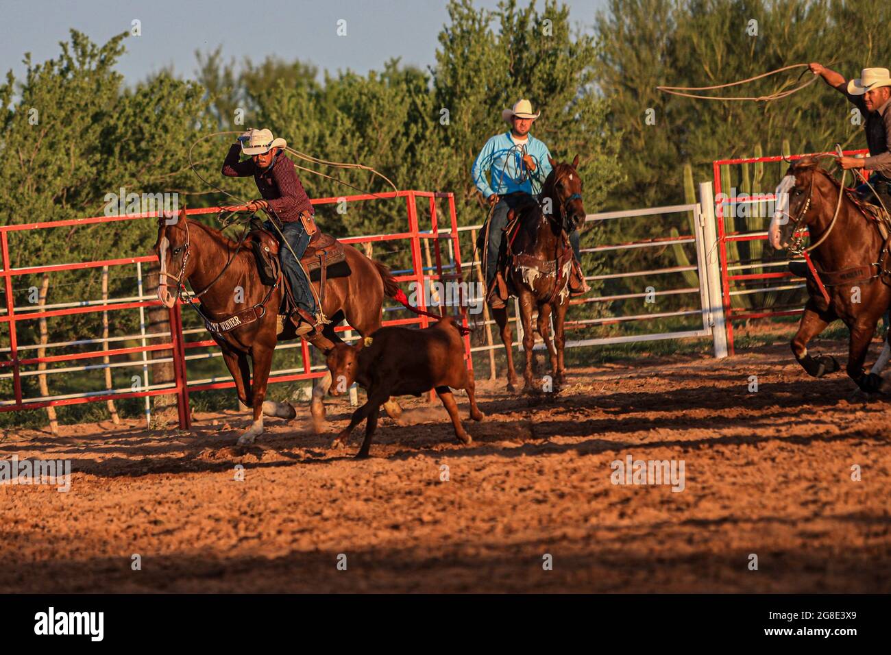 Rodeo y caballo hi-res stock photography and images - Alamy