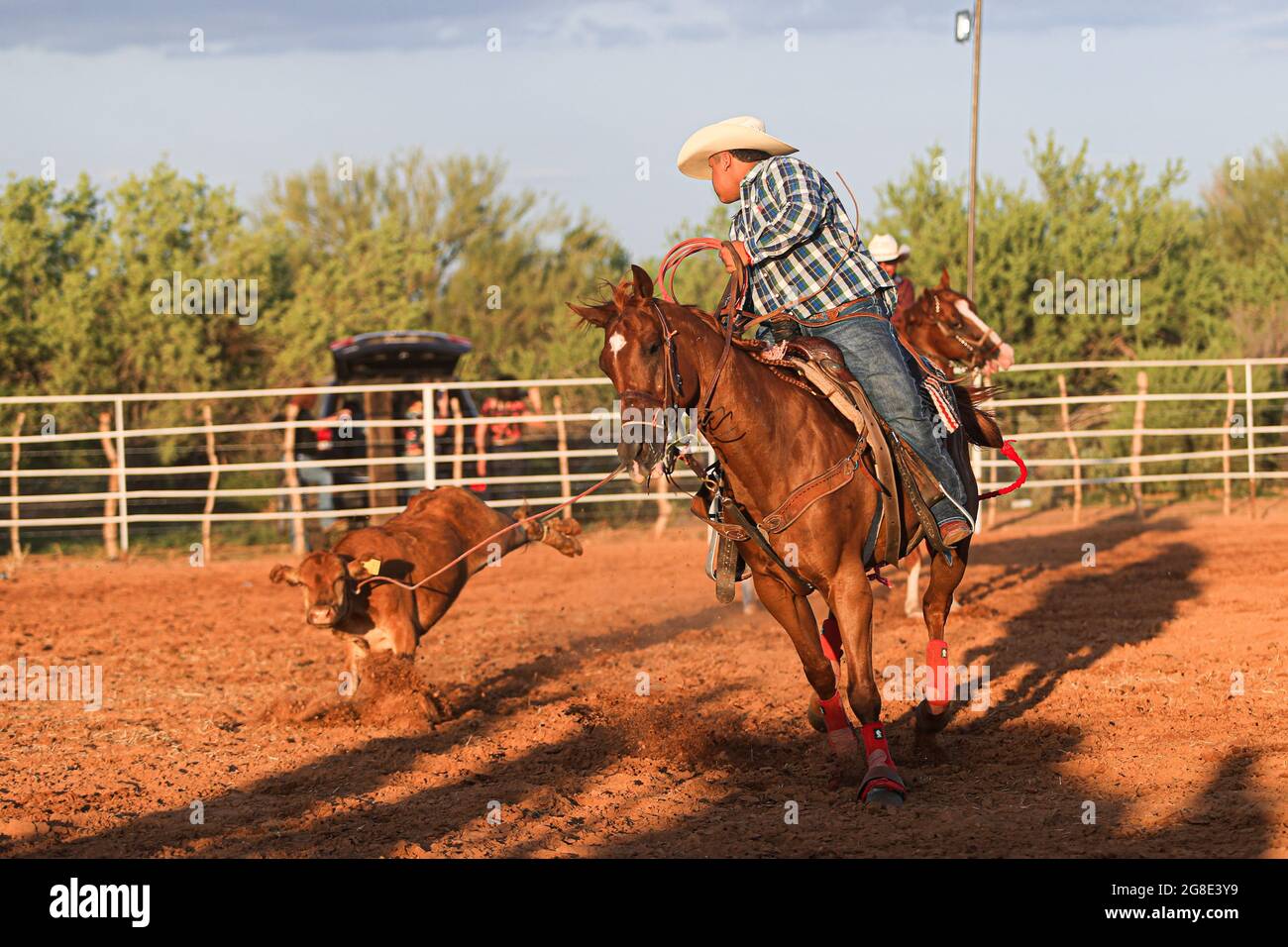 Lazo de vaquero hi-res stock photography and images - Alamy