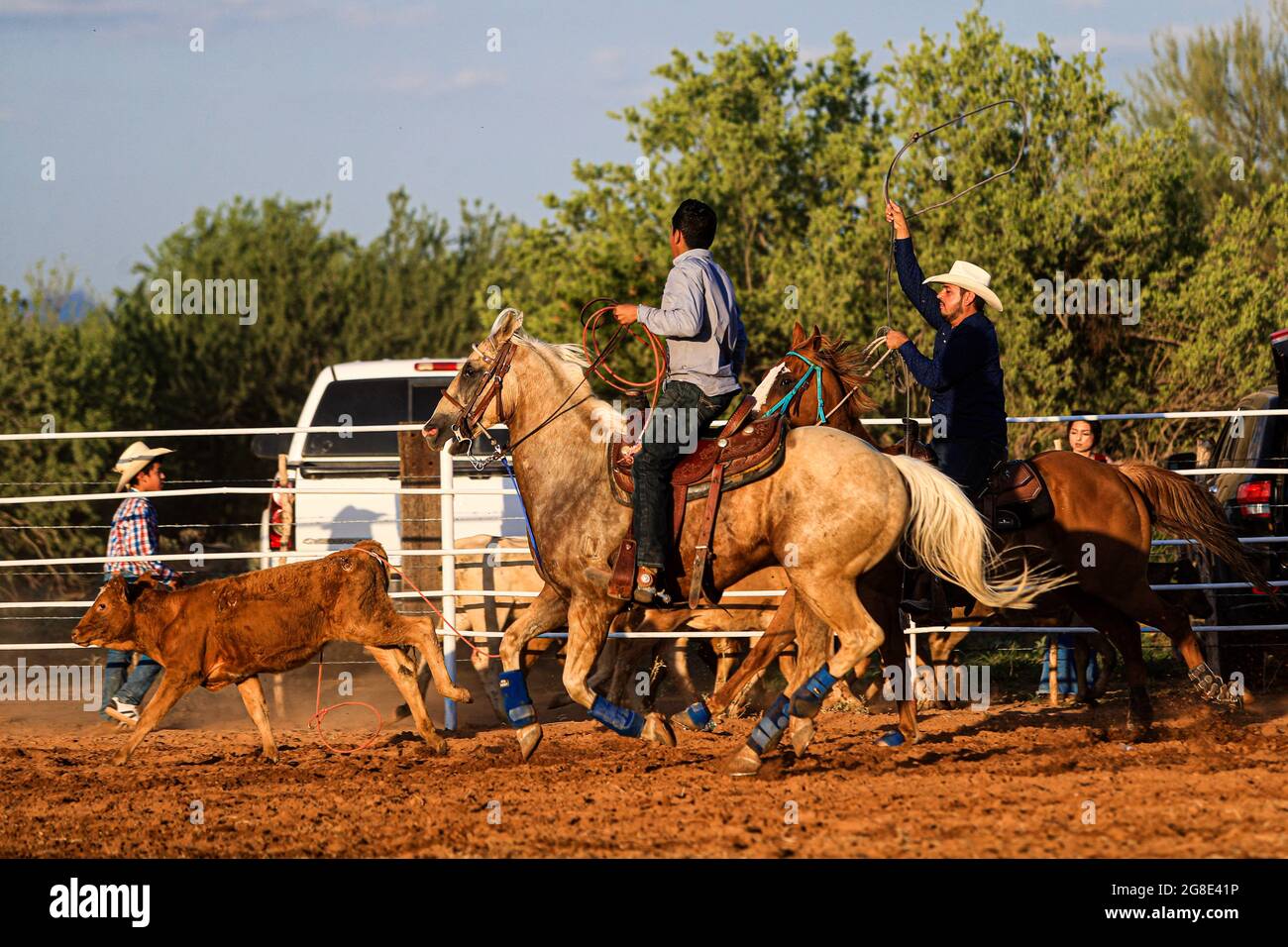 Vaquero y su caballo hi-res stock photography and images - Alamy