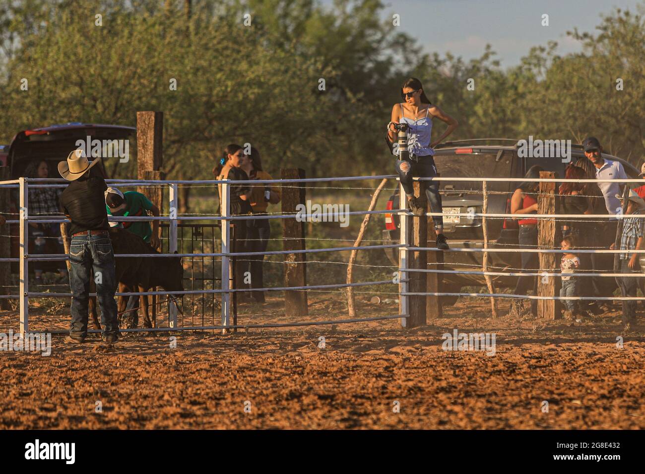Rodeo y caballo hi-res stock photography and images - Alamy