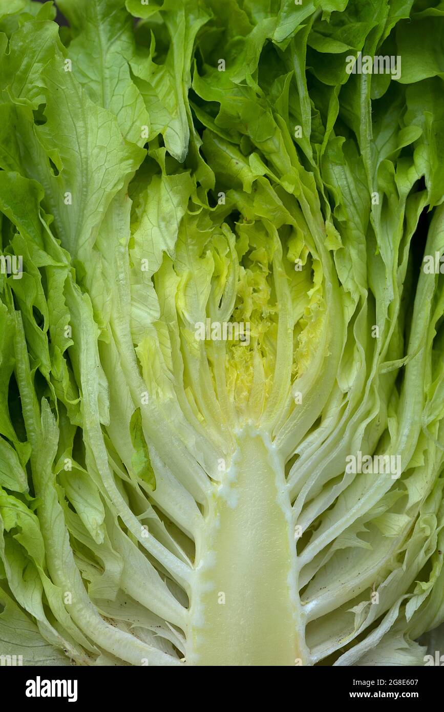Structure food hi-res stock photography and images - Alamy