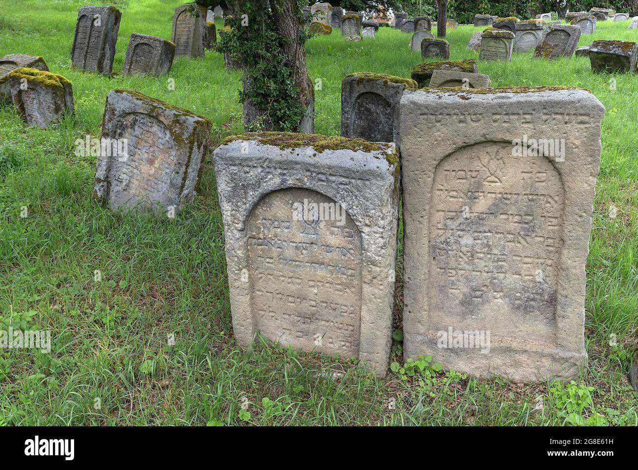 Gravestones at a Jewish cemetery, built around 1500, Schnaittach ...