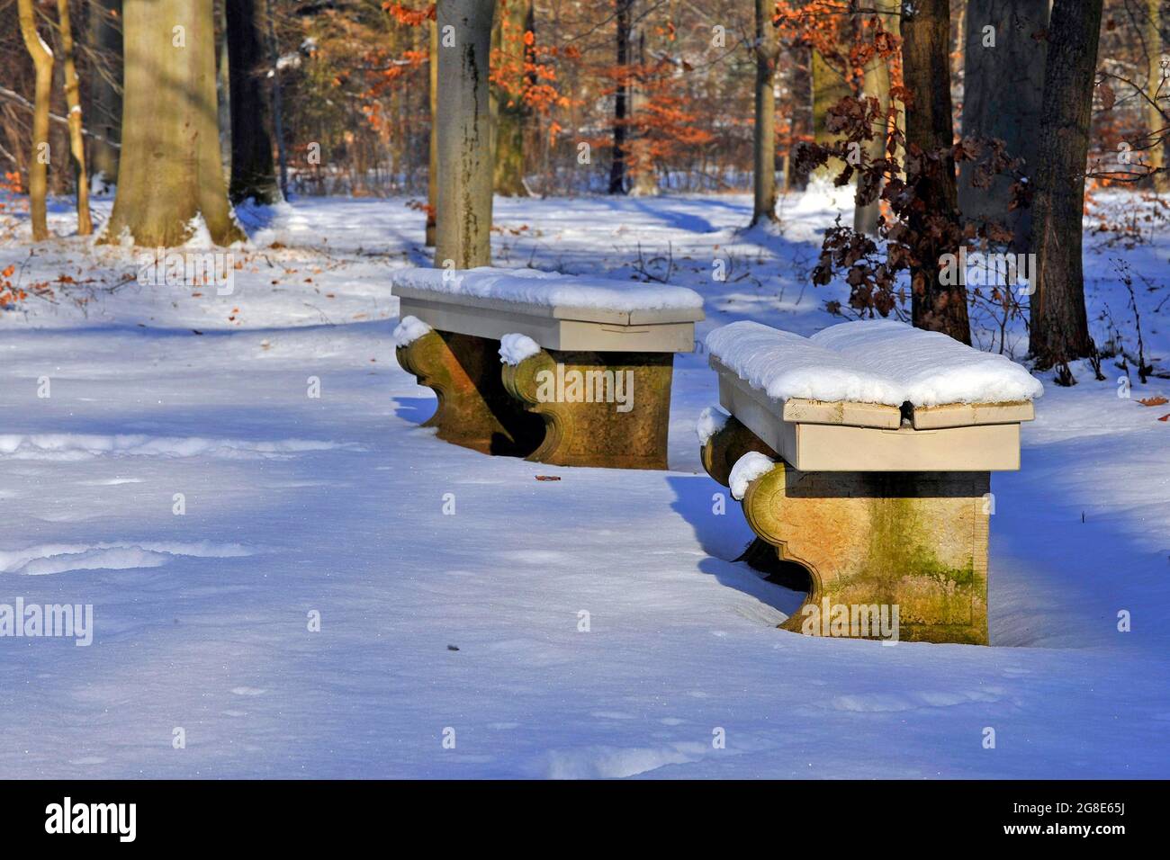 Old snowy benches, Sanssouci Palace Park, Potsdam, Brandenburg, Germany ...