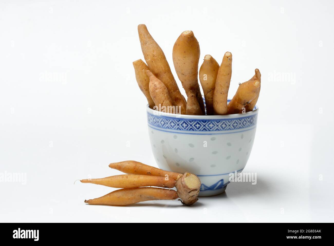 Fingerroot in bowl, Boesenbergia rotunda, Chinese ginger, Germany Stock ...