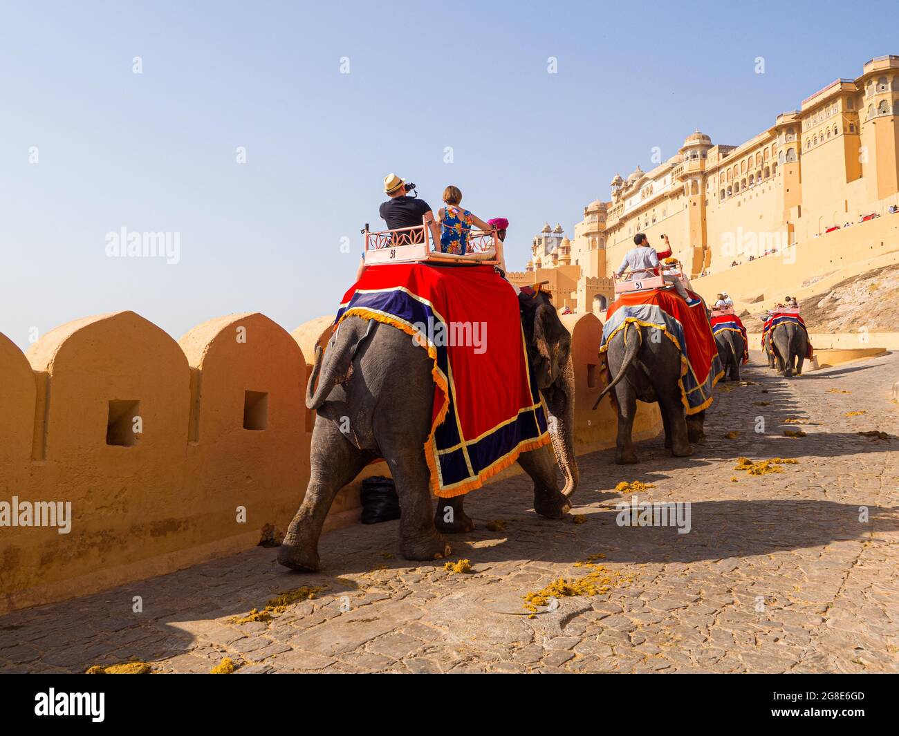 Elephants for tourist transport, Amber Fort, Jaipur, Rajasthan, India ...