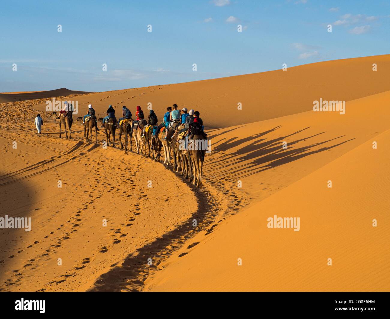 Tourists ride on Dromedary (Camelus dromedarius), caravan through sand ...