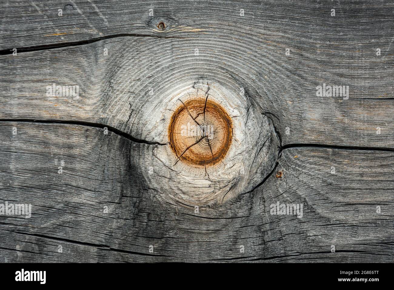 Weathered wood with knothole at an alpine hut, wood structure, South ...