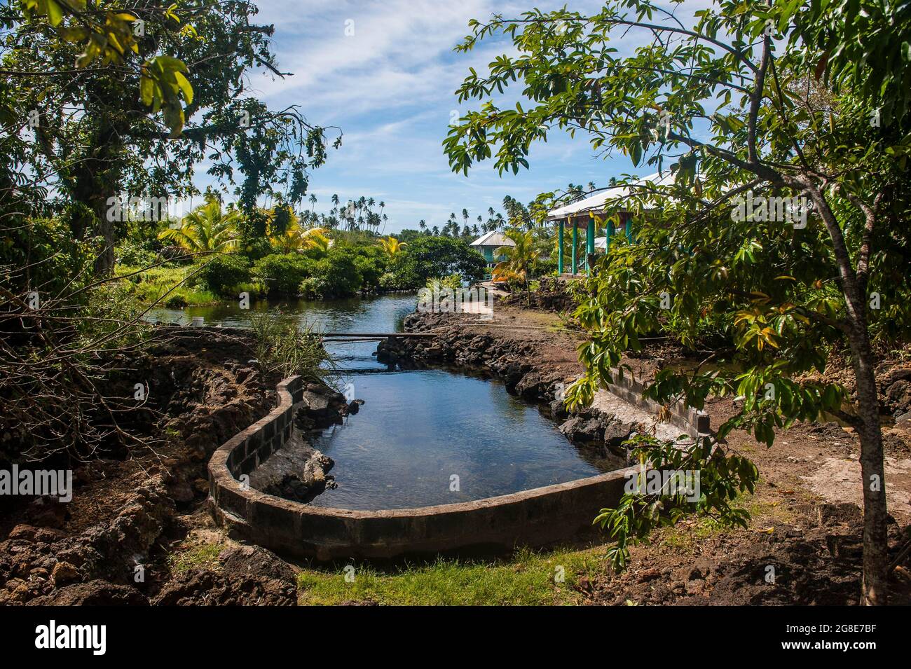 Samoa sea turtle hi-res stock photography and images - Alamy
